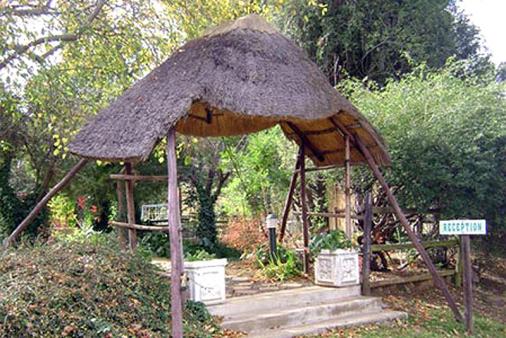 Cedarberg Guest Farm - Cedarville Accommodation.