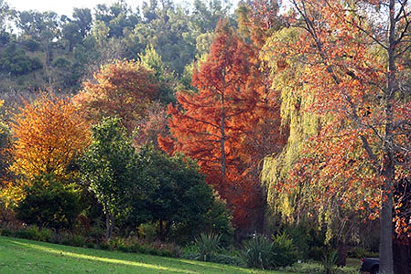 Cedarberg Guest Farm - Cedarville Accommodation.