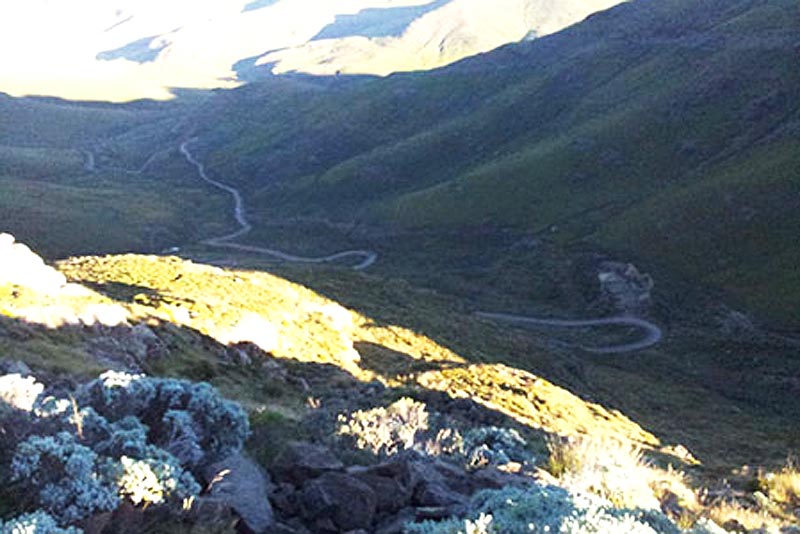 Cedarberg Guest Farm - Cedarville Accommodation.