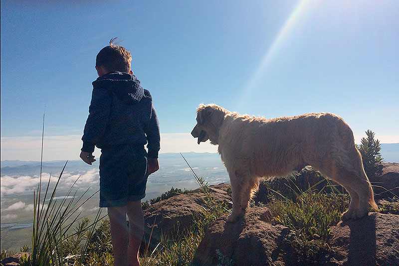 Cedarberg Guest Farm - Cedarville Accommodation.