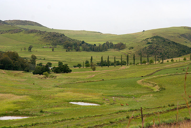 Cedarberg Guest Farm - Cedarville Accommodation.