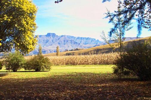 Mountain Splendour - Champagne Valley Accommodation.