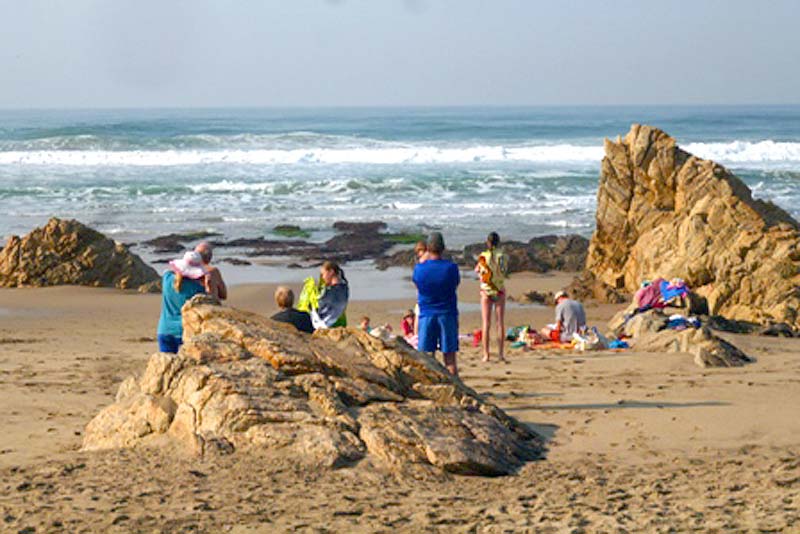 Peter Pan Place - Leisure Bay Accommodation.