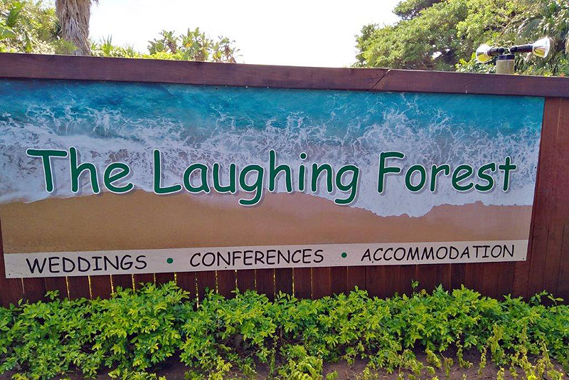 The Laughing Forest Bush Cabins - Elysium Accommodation.
