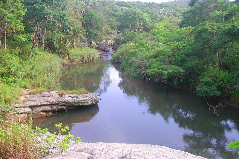 River Valley Nature Reserve - Margate Accommodation.