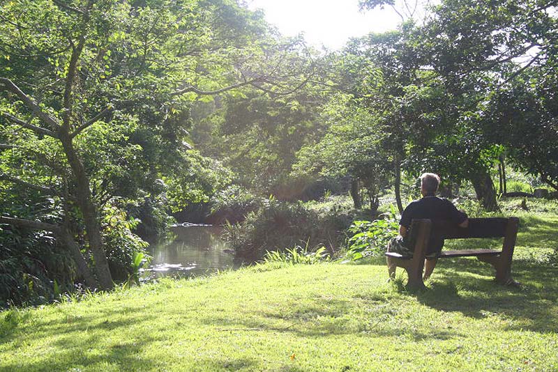 River Valley Nature Reserve - Margate Accommodation.