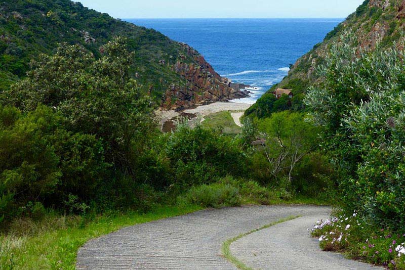Cliff Top Houses - The Cat's Whiskers - Ballots Bay Accommodation.