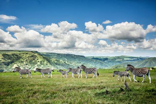 Gwahumbe Game & Spa - Eston Accommodation.