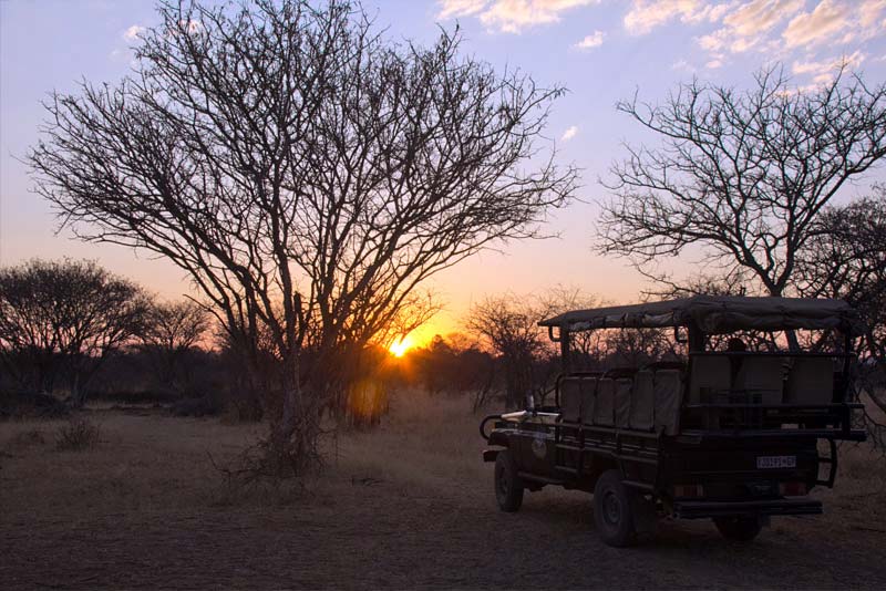 Ditholo Game Lodge - Bela-Bela - Warmbaths Accommodation.
