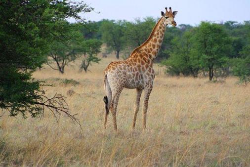 Umfula Resort - Parys Accommodation.