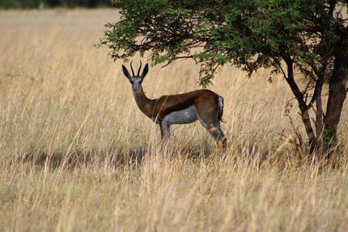 Umfula Resort - Parys Accommodation.