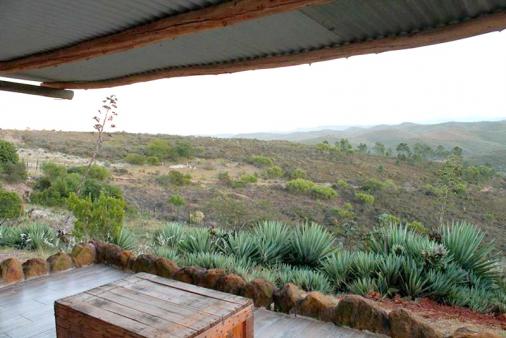 Pabala Private Nature Reserve - Loerie Accommodation.