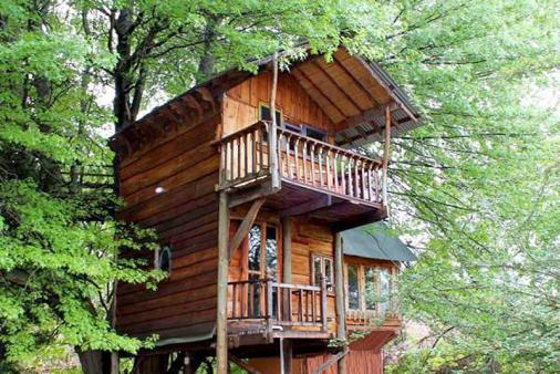 Sycamore Avenue Treehouses - Mooi River Accommodation.
