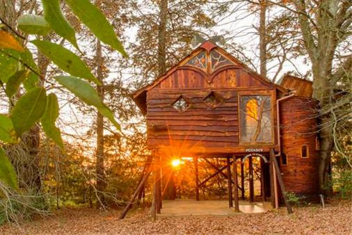 Sycamore Avenue Treehouses - Mooi River Accommodation.