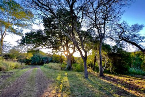 Ngweni Private Game Farm - Hluhluwe Accommodation.