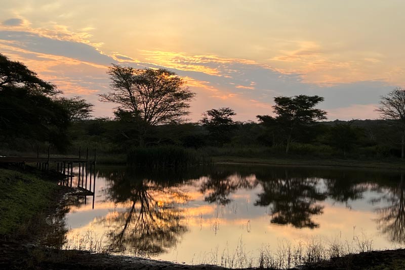Ngweni Private Game Farm - Hluhluwe Accommodation.