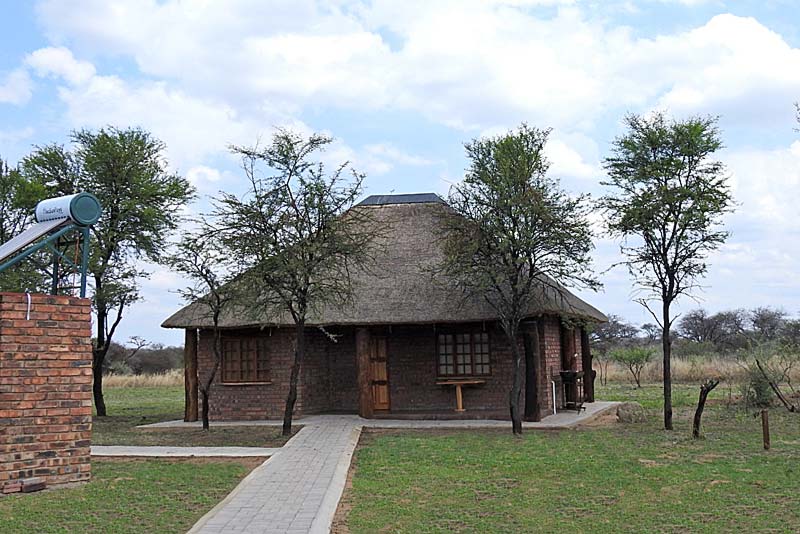 Witgatboom Boskamp - Mookgophong - Naboomspruit Accommodation.