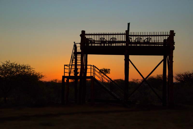 Witgatboom Boskamp - Mookgophong - Naboomspruit Accommodation.